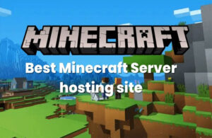 What Are The Best Minecraft Server Hosting Platforms