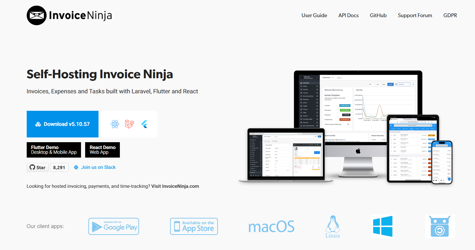 Is Invoice Ninja Self Hosted or Hosted? What To Know (2025)